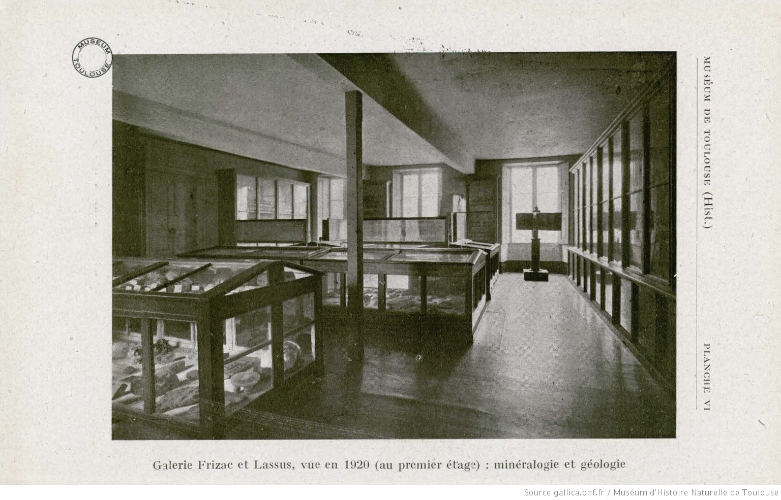 L'architecture du Muséum, une quête d'espace - Muséum de Toulouse